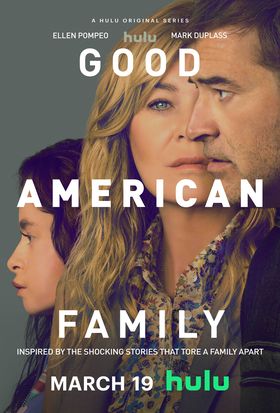 perfect american family